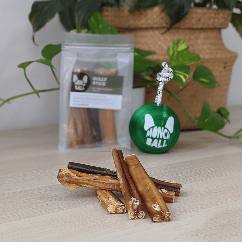 Bully sticks help clean your dog's teeth – Monchball